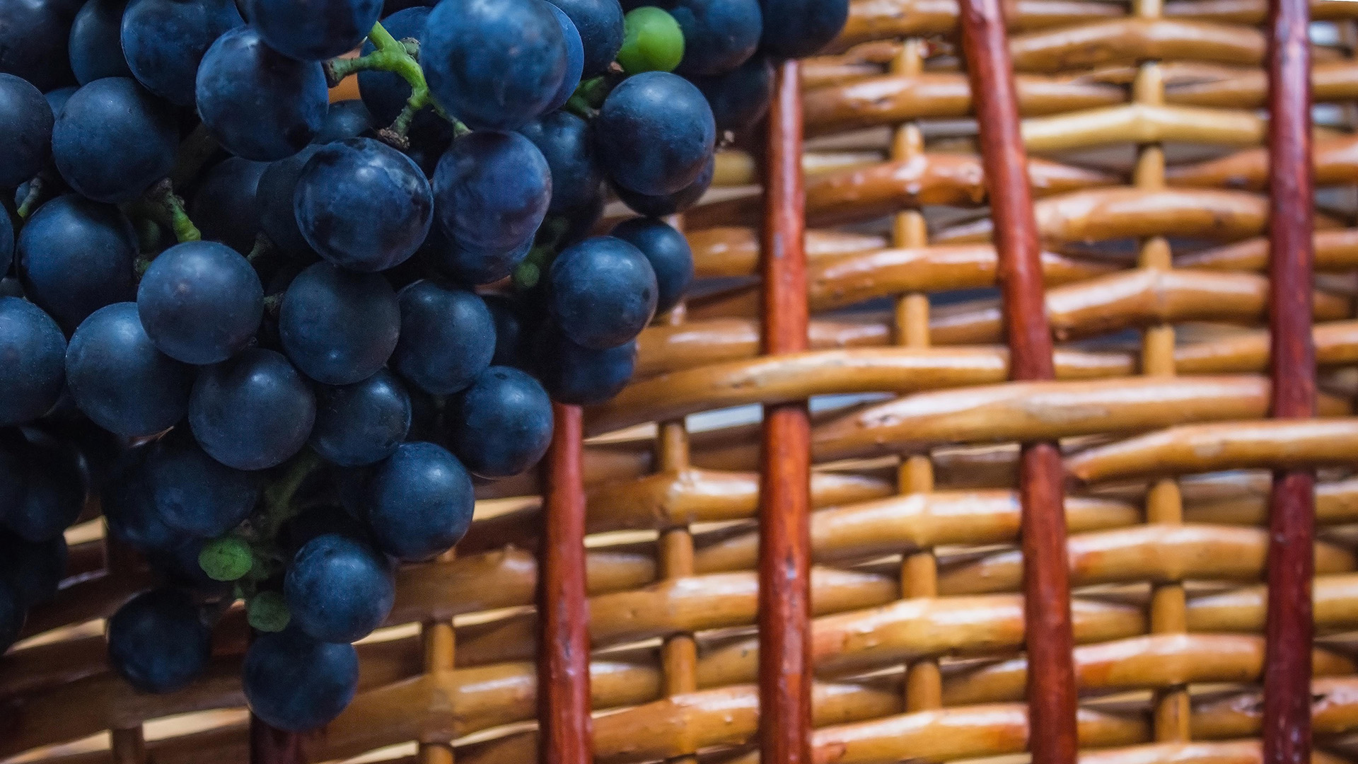 Basic Wine Making Class - Mindset Winery & Lounge